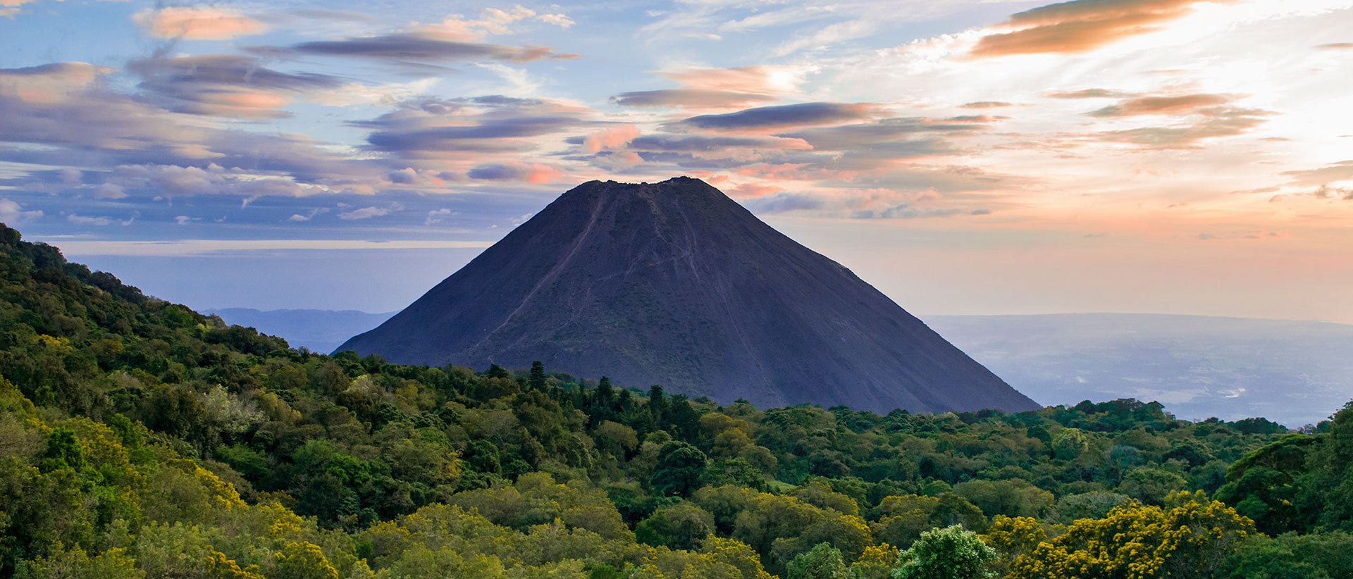 El Salvador Chinameca – OutletdelCafe